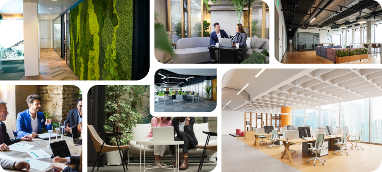 Next Office – Design with Purpose